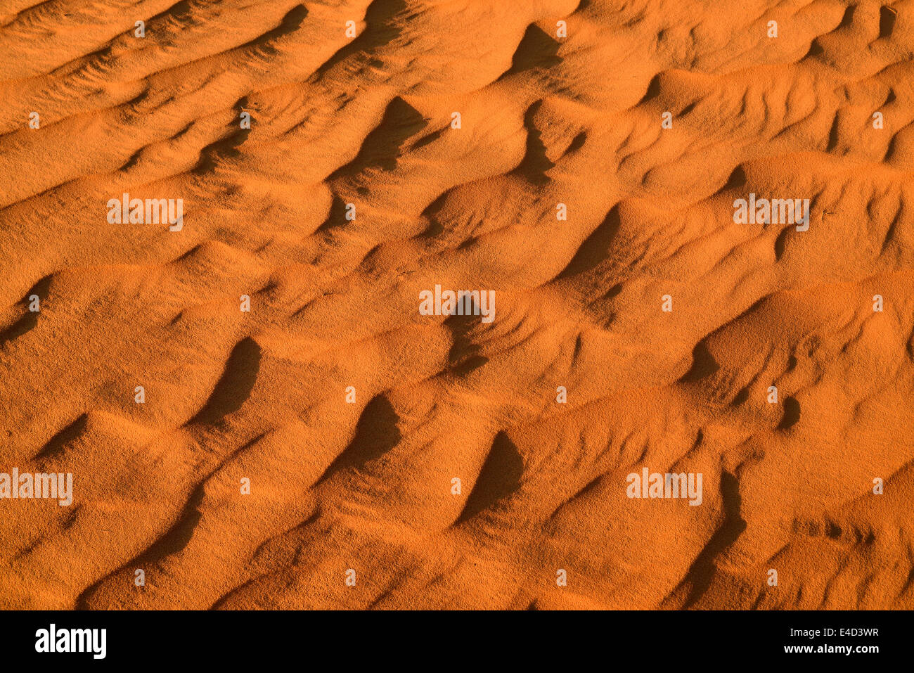 Sand ripples, texture on a sand dune, Tassili n'Ajjer, Sahara desert ...