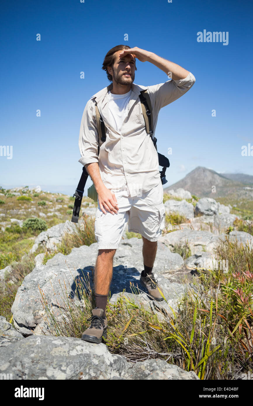Handsome hiker standing at the summit looking around Stock Photo - Alamy