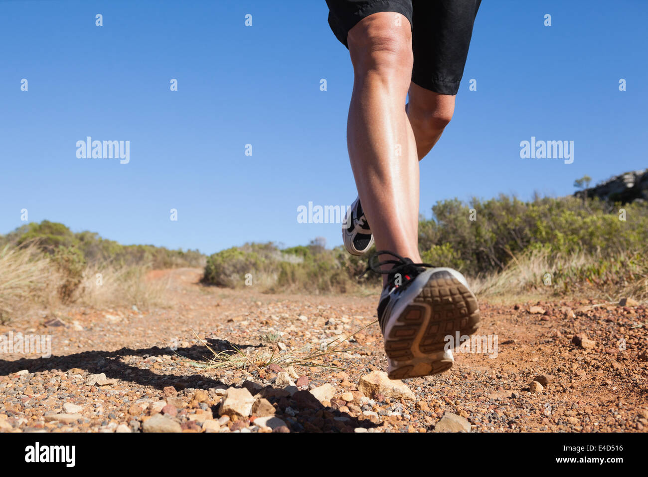 Athletic man jogging on country trail Stock Photo - Alamy