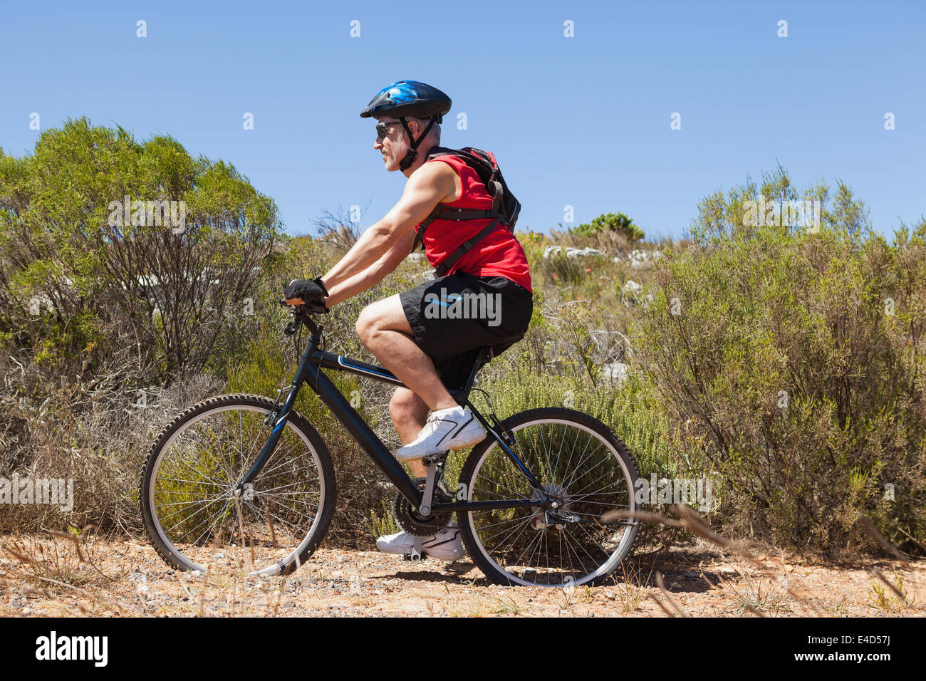 Fit man cycling on mountain trail Stock Photo - Alamy