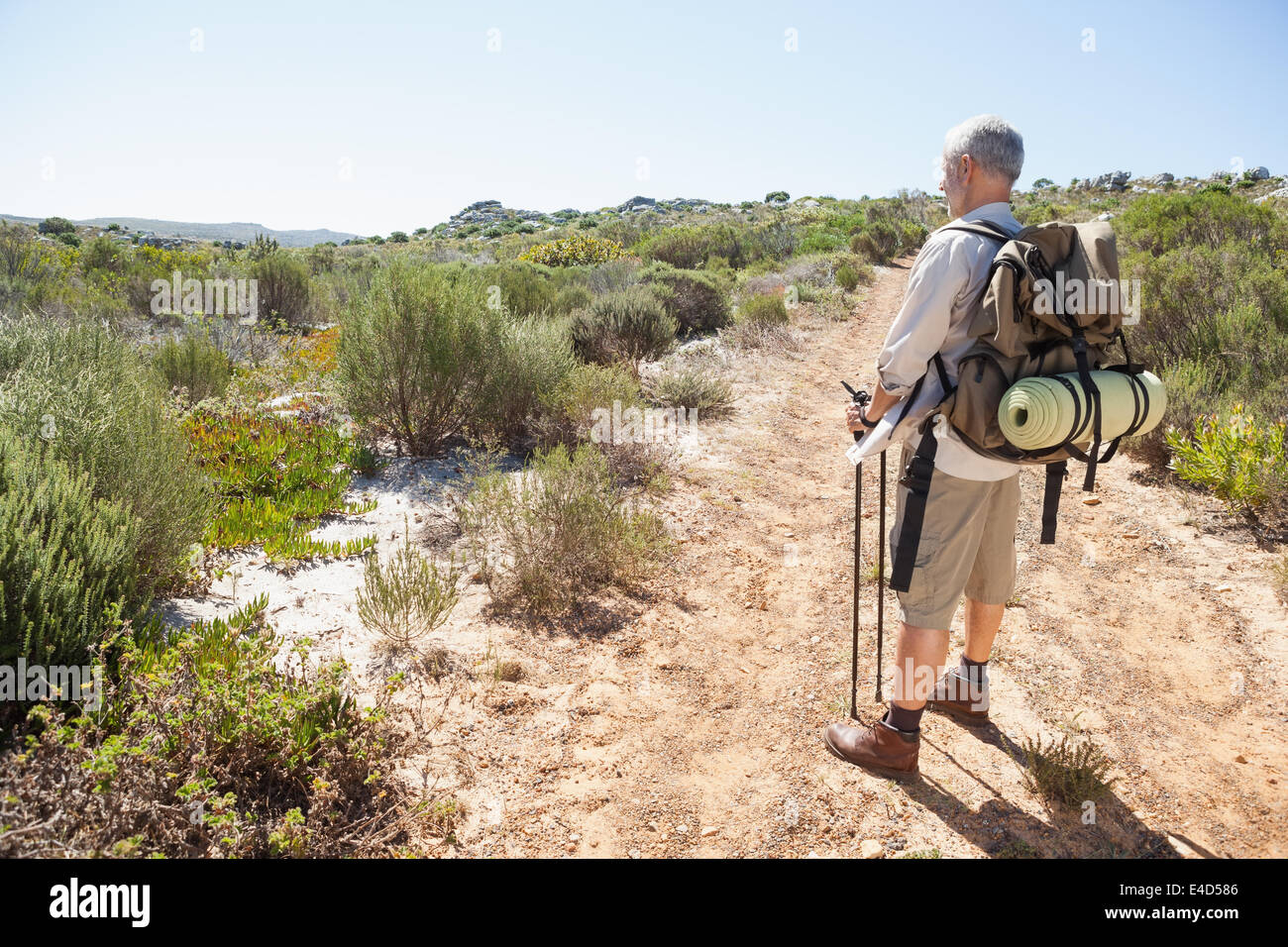 Handsome hiker looking at the scenery in the countryside Stock Photo ...