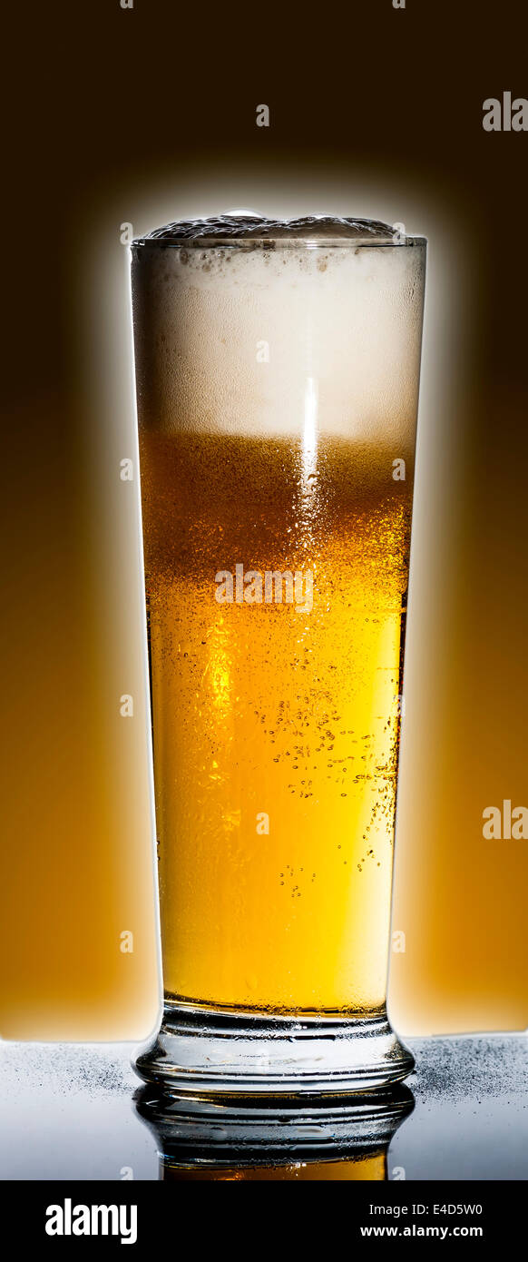 draught or draft beer on black reflex background with water drop on ...