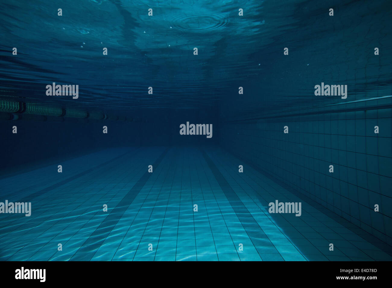 Deep blue swimming pool with no one in it Stock Photo - Alamy