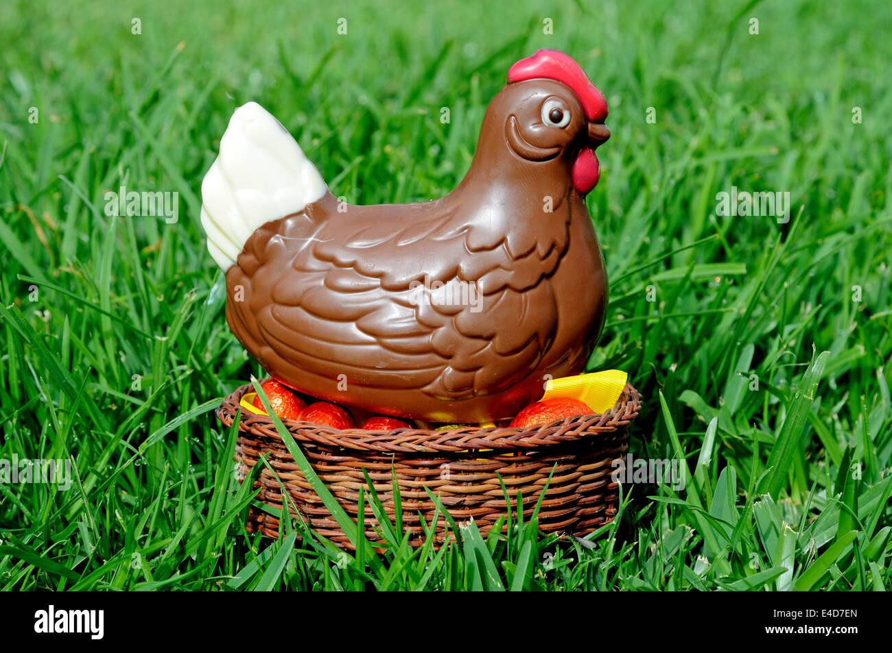 Easter chocolate chicken chocolate egg hi-res stock photography and ...