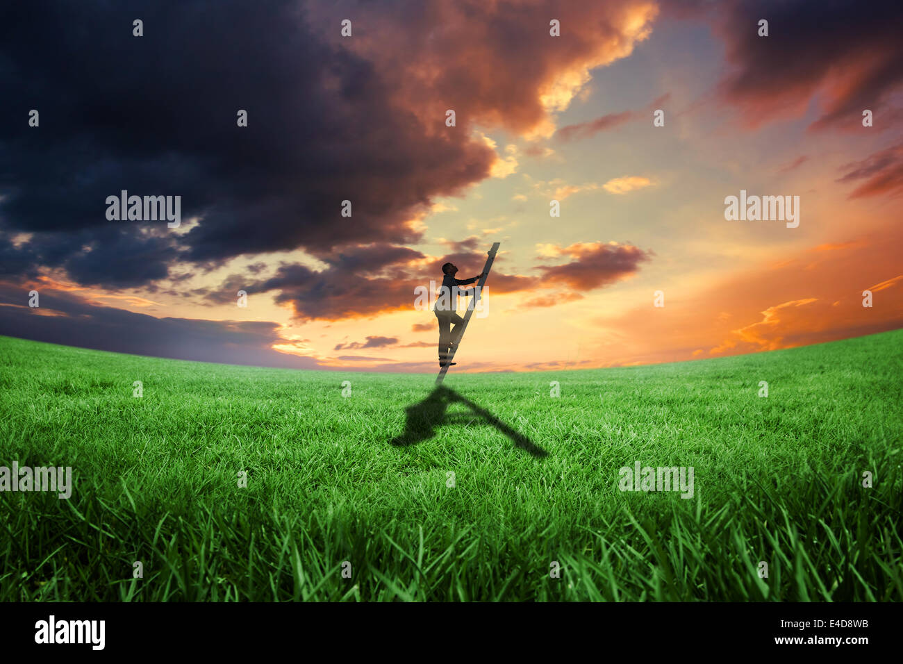 Climbing ladder grass hi-res stock photography and images - Alamy