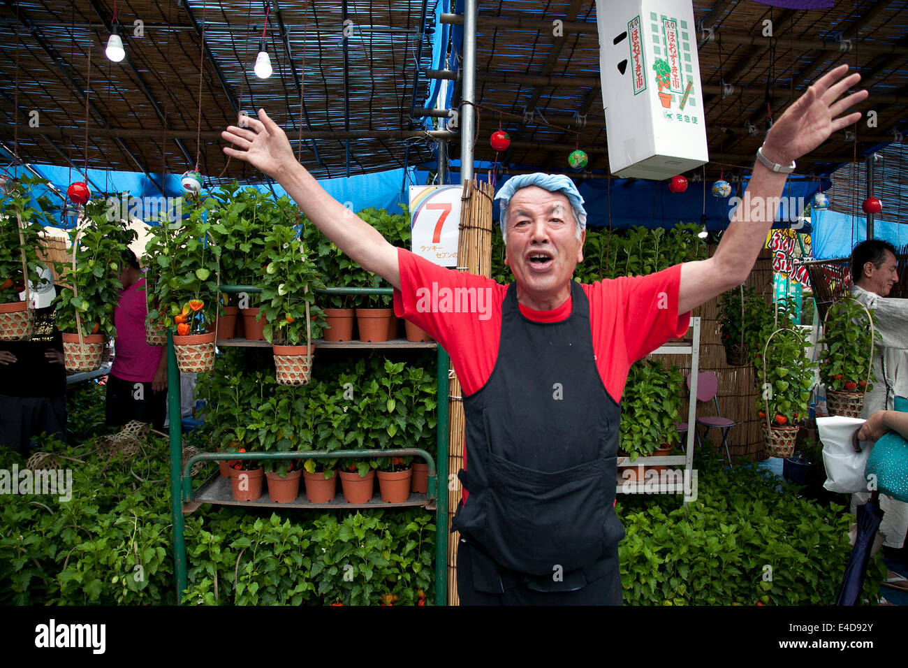 July 9, 2014. Tokyo, Japan - A vendor of hozuki plants at Senso-ji ...