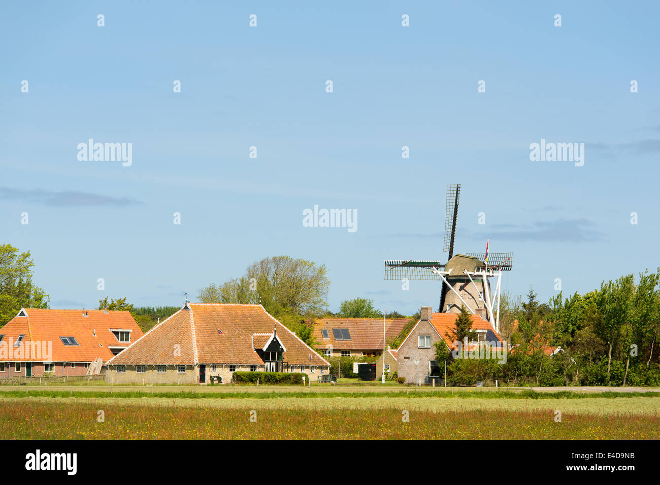 Dutch village Formerum with windmill and farm houses in landscape on ...