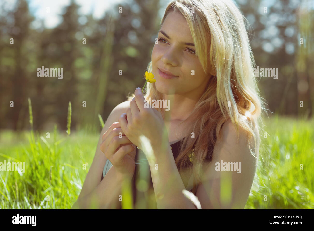Pretty flower in countryside hi-res stock photography and images - Alamy