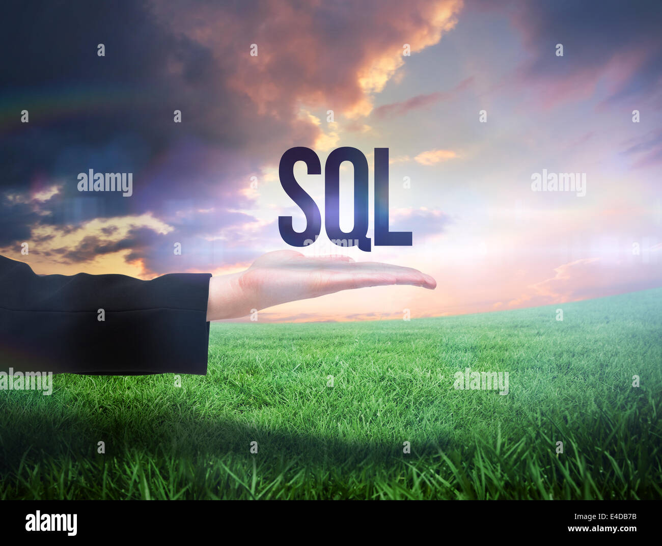 Businesswomans hand presenting the word sql Stock Photo - Alamy Businesswomans hand presenting the word sql Stock Photo - Alamy