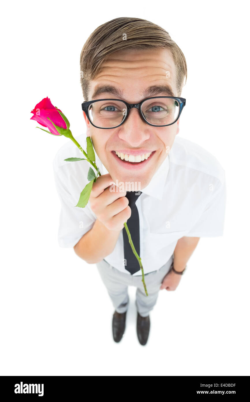 Young red rose Cut Out Stock Images & Pictures - Alamy