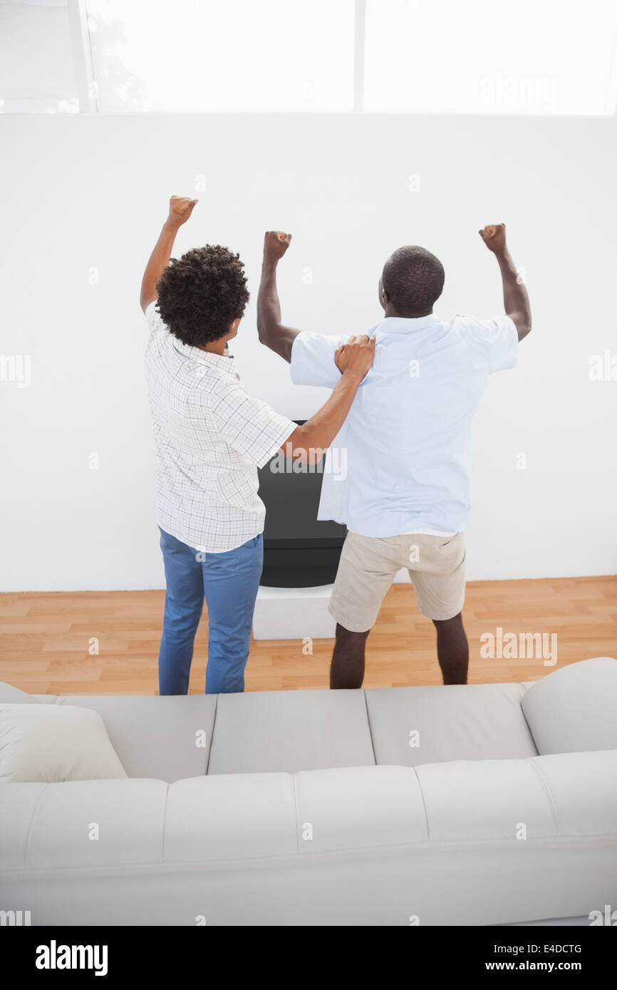 Football fans standing hi-res stock photography and images - Alamy