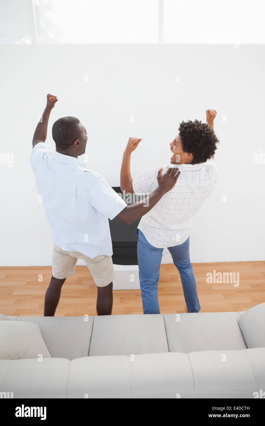 Football fans standing hi-res stock photography and images - Alamy