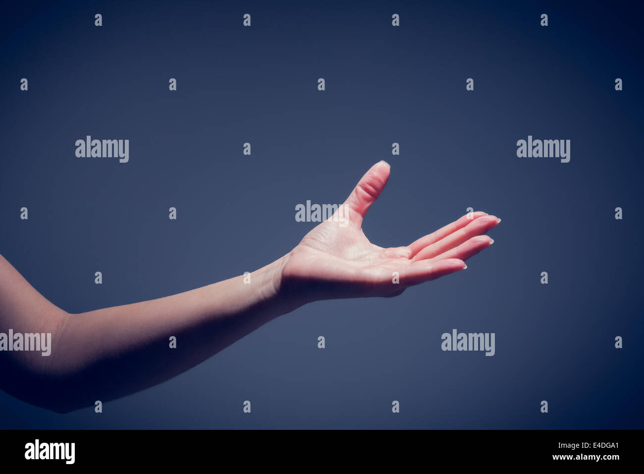 Female hand being held out Stock Photo - Alamy