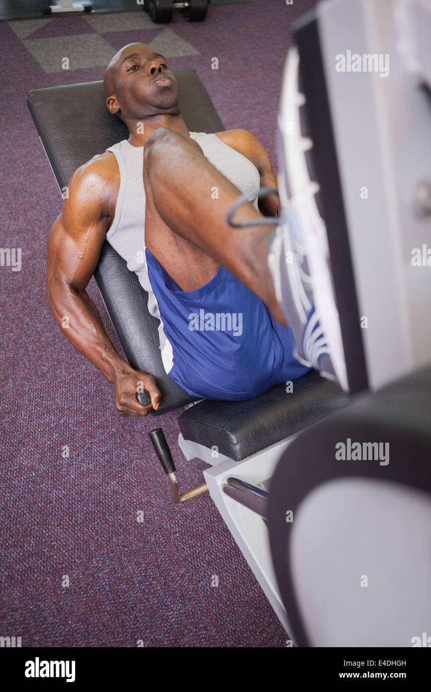 Male weightlifter doing leg presses in gym Stock Photo - Alamy