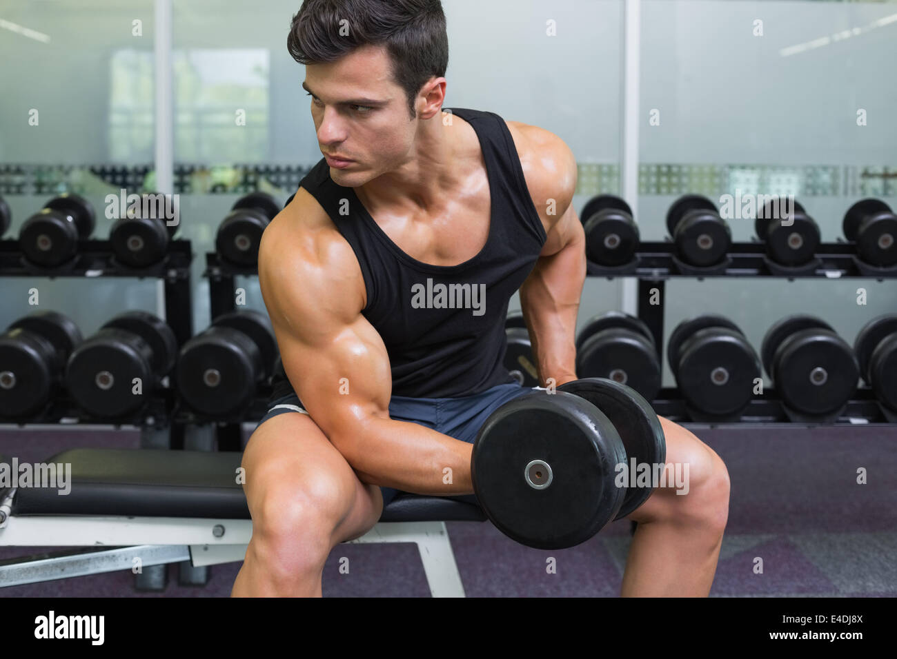 Young muscular hi-res stock photography and images - Alamy