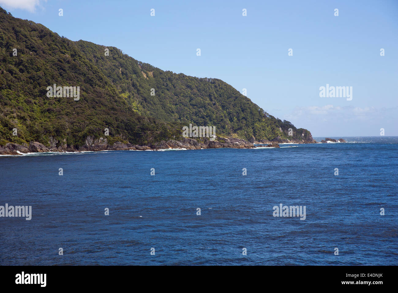 Tasman sea ocean fjord hi-res stock photography and images - Alamy