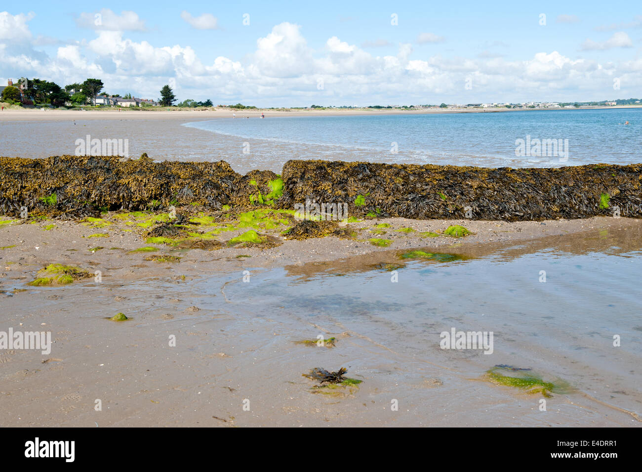 Sutton beach,Howth peninsula,Ireland Stock Photo - Alamy