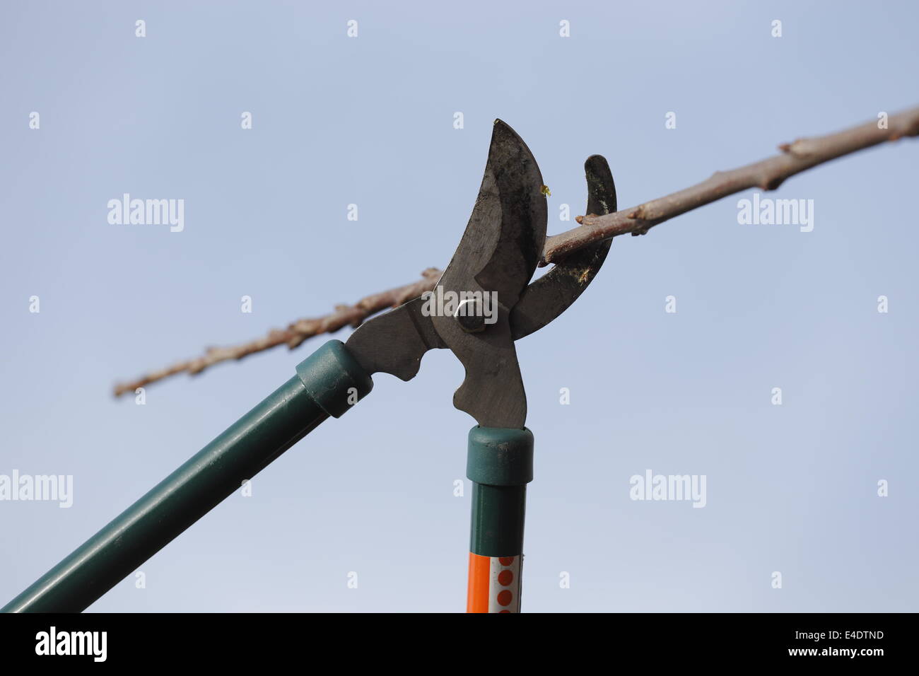 Cleaning secateurs hi-res stock photography and images - Alamy