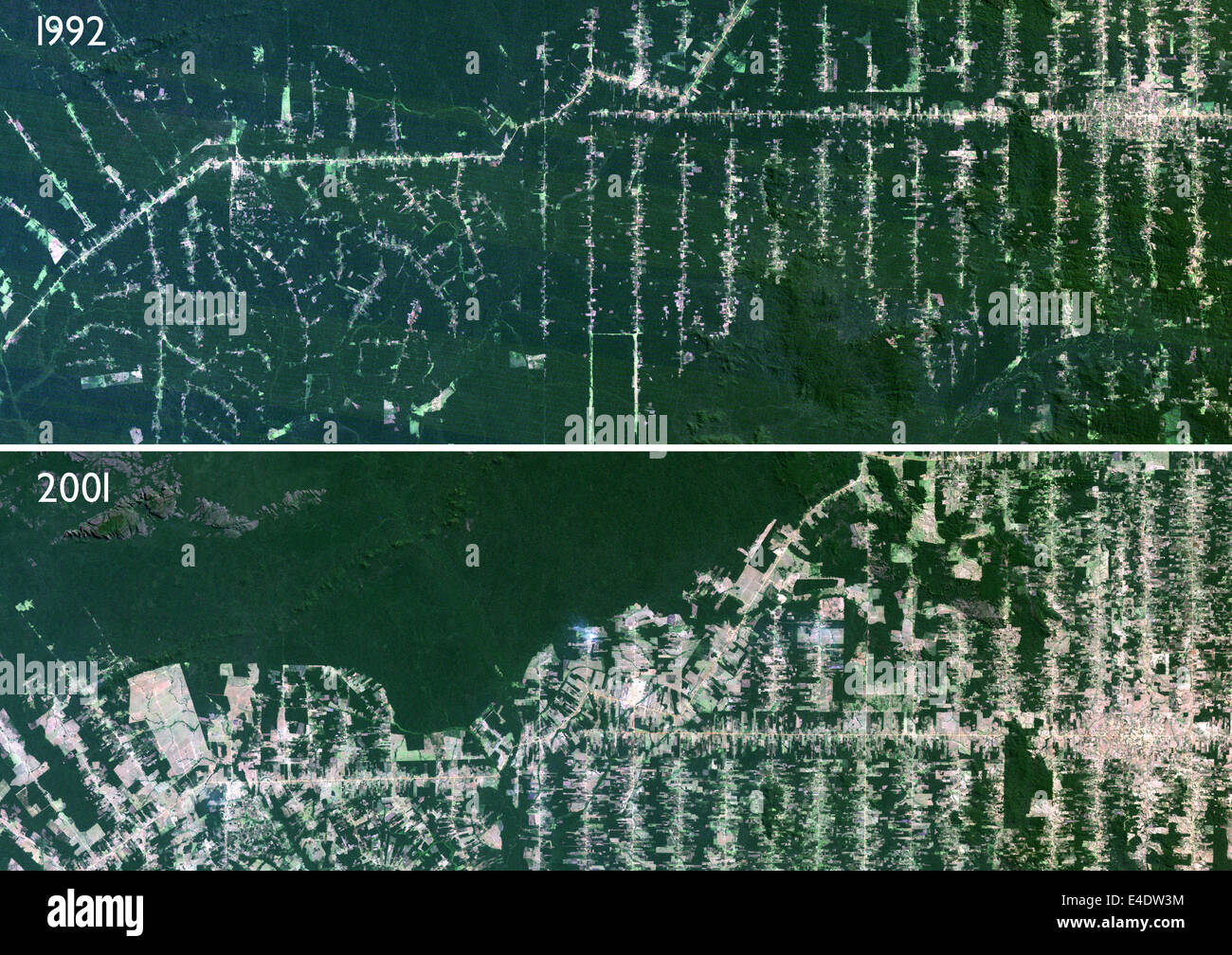 Deforestation, Mato Grosso, Brazil, True Colour Satellite Image. True ...