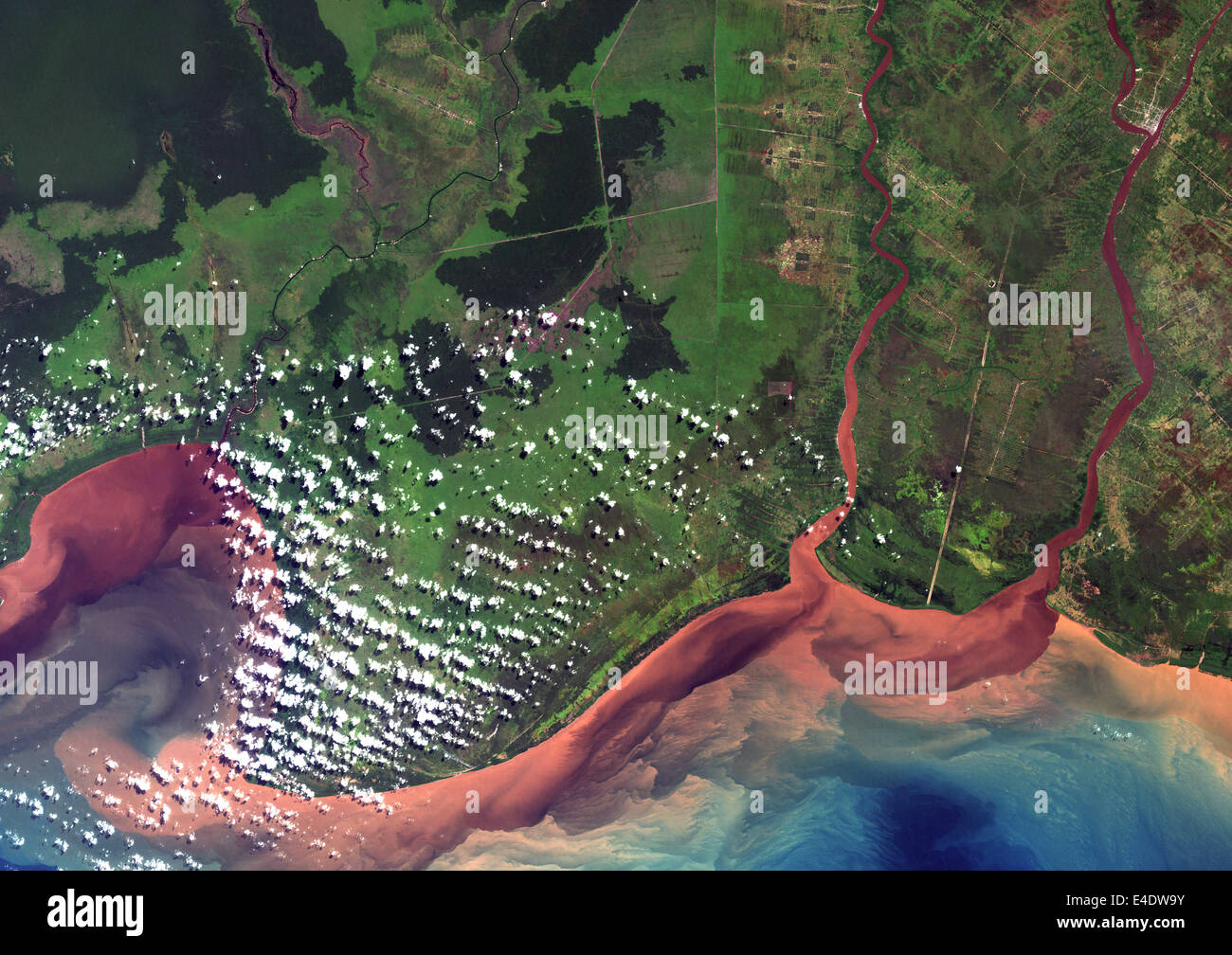 Rivers Barito& Kahayan, Borneo, Indonesia, True Colour Satellite Image ...