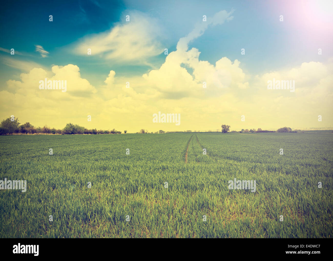 Village field in retro colors Stock Photo - Alamy