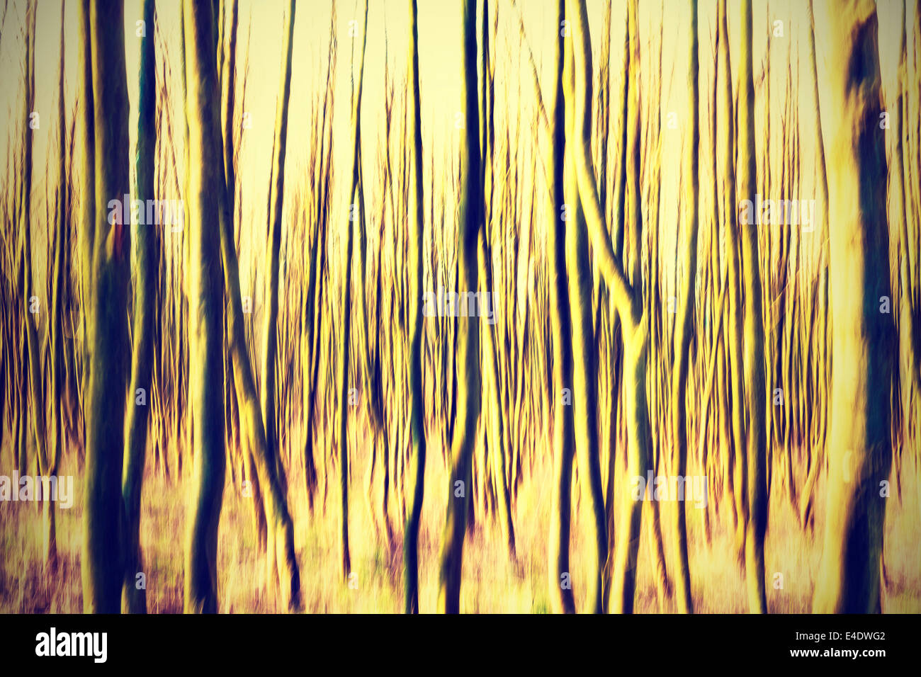 Motion blurred forest retro background Stock Photo - Alamy