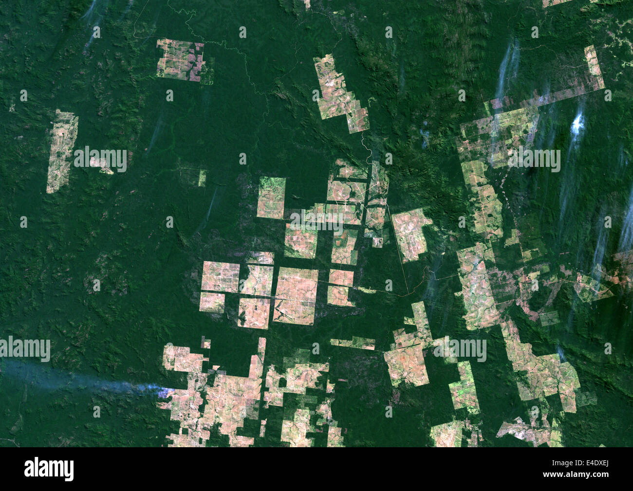 Rainforest deforestation map hi-res stock photography and images - Alamy