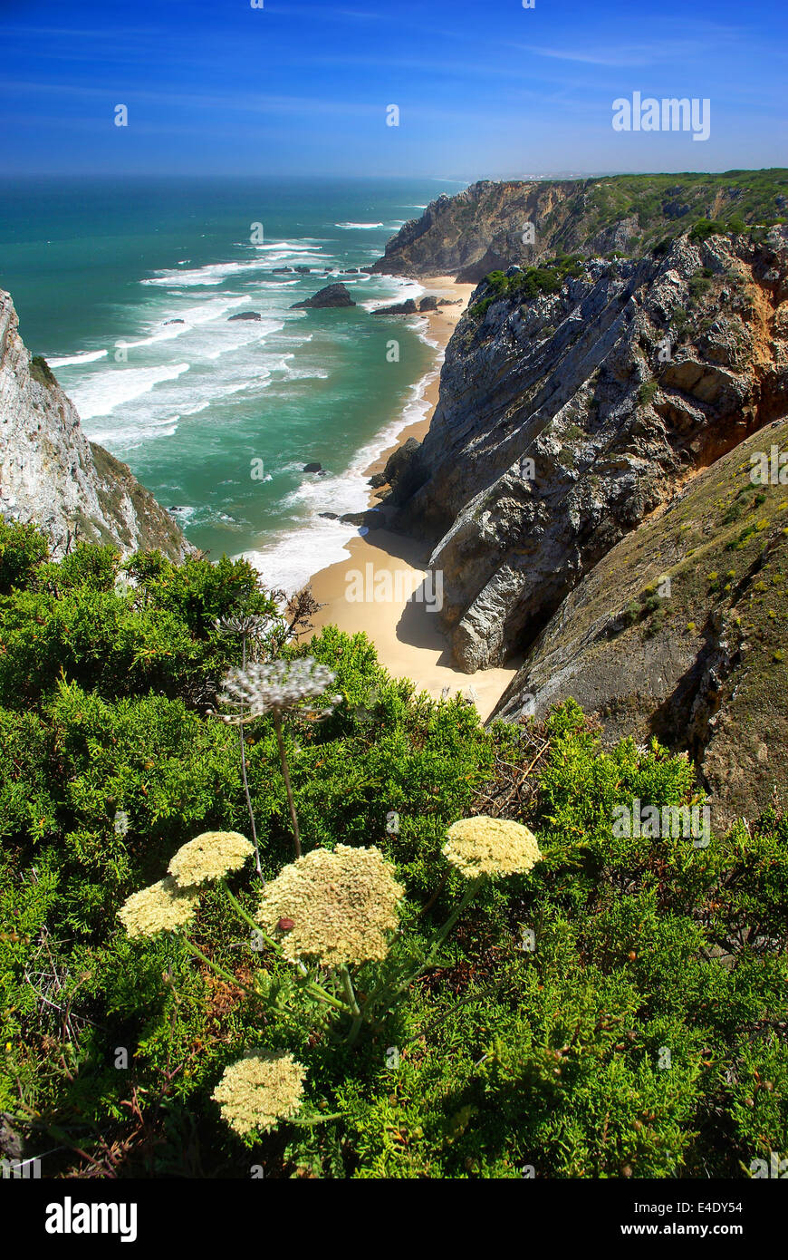 Bird's eye view of coastal cliffs and beach in a sunny summer day Stock ...