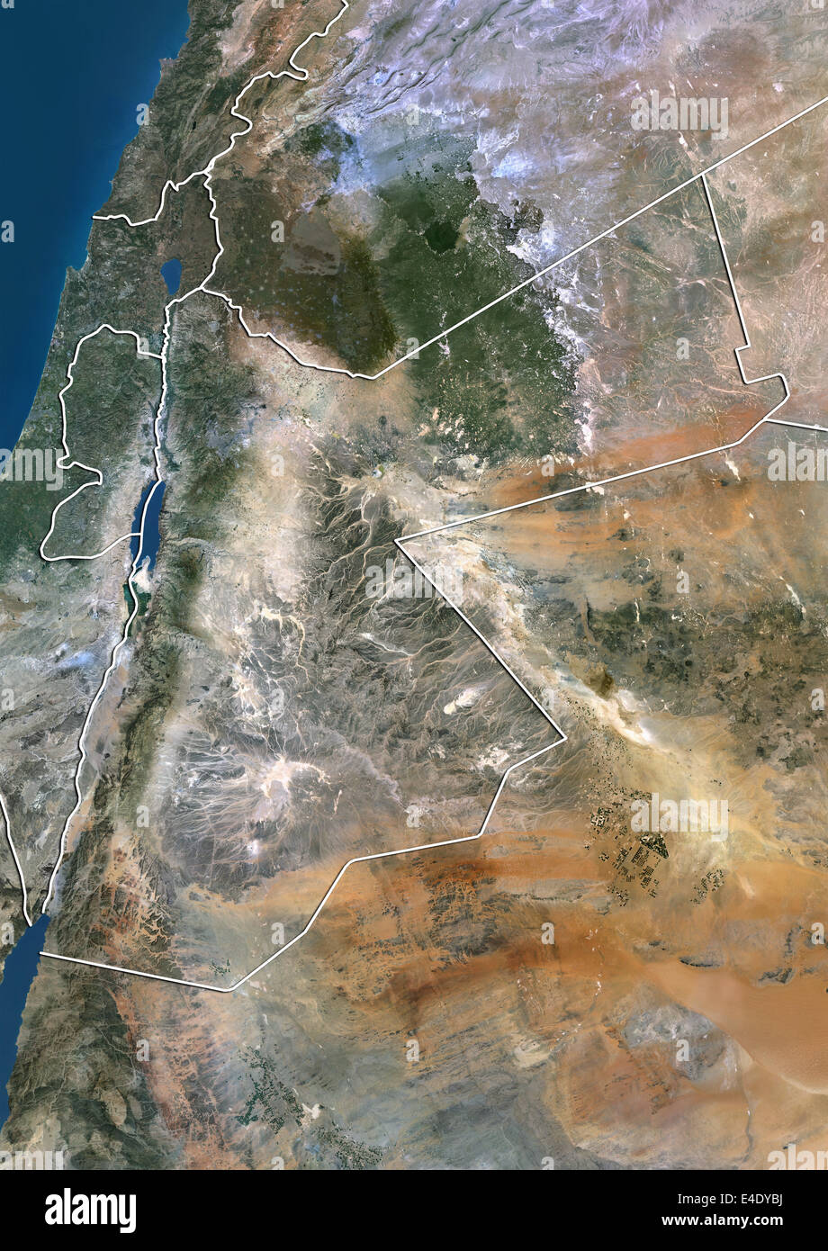 Amazon Jordan Amman Location at Lily Mueller blog