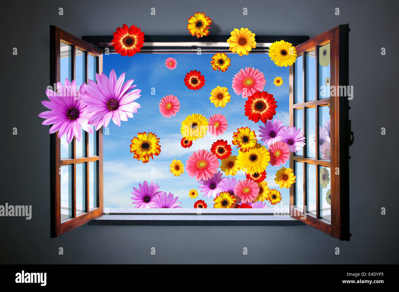 Conceptual Spring image with many colorful flowers entering through an ...