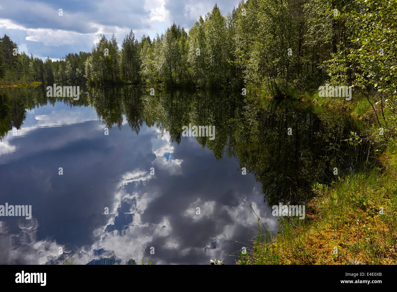 lake scenery, Ruokolahti Finland Stock Photo - Alamy