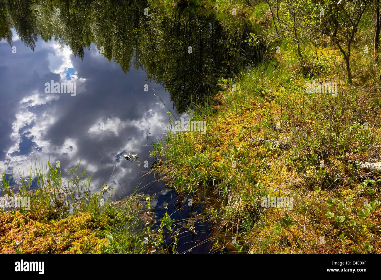 Ruokolahti Stock Photos & Ruokolahti Stock Images - Alamy
