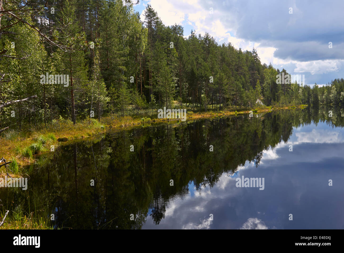 lake scenery, Ruokolahti Finland Stock Photo - Alamy