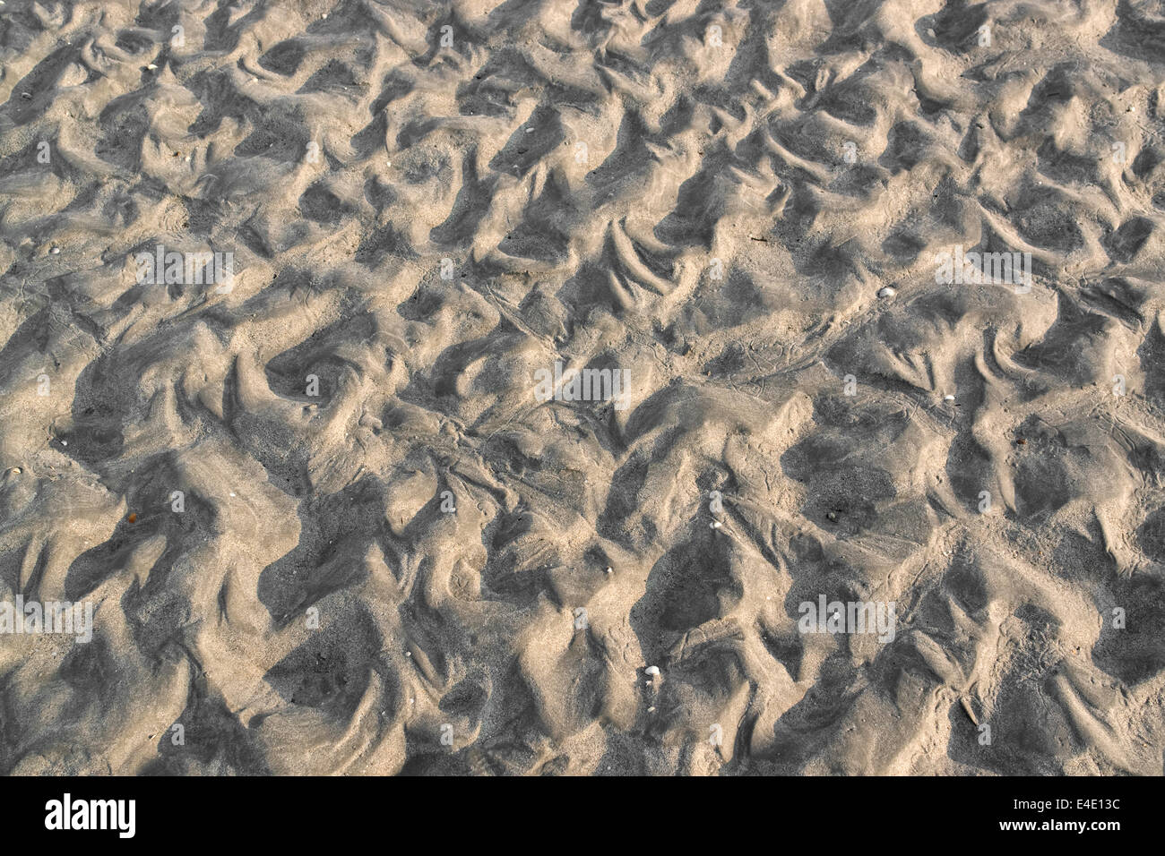 Intertidal zone hi-res stock photography and images - Alamy