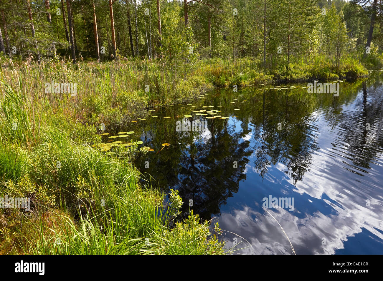Ruokolahti Stock Photos & Ruokolahti Stock Images - Alamy