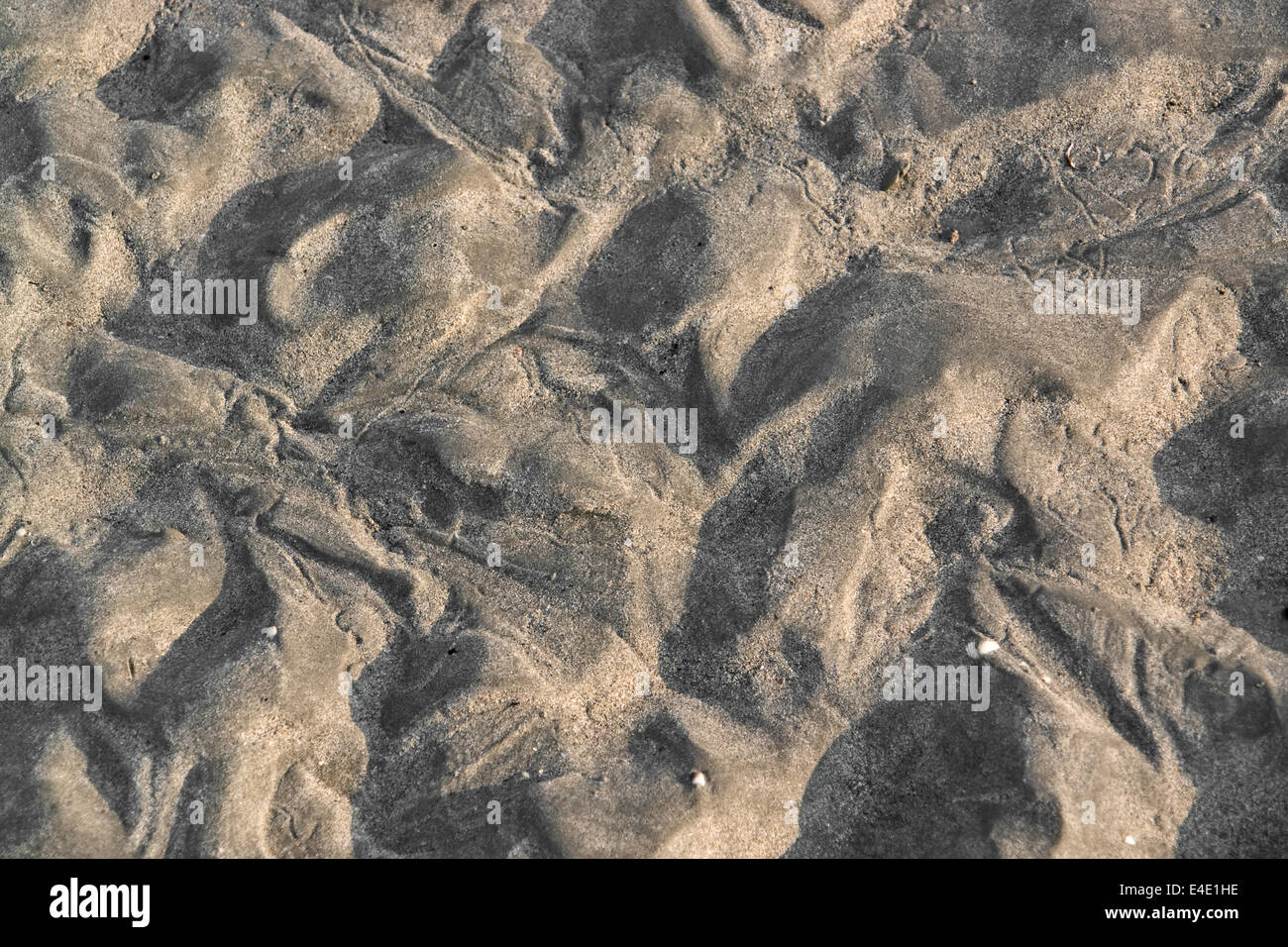 Intertidal zone hi-res stock photography and images - Alamy