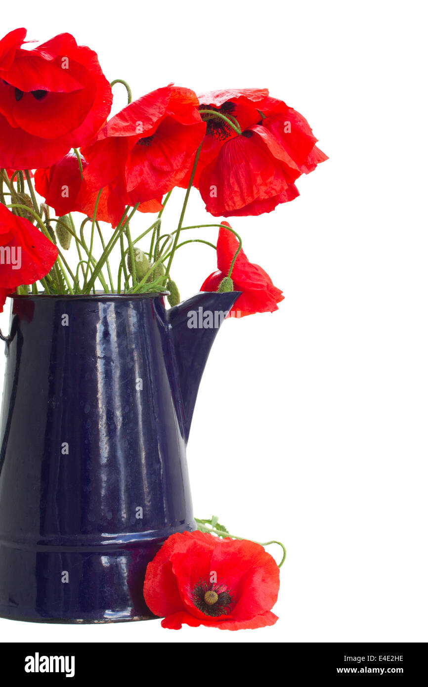 posy of poppy flowers Stock Photo - Alamy
