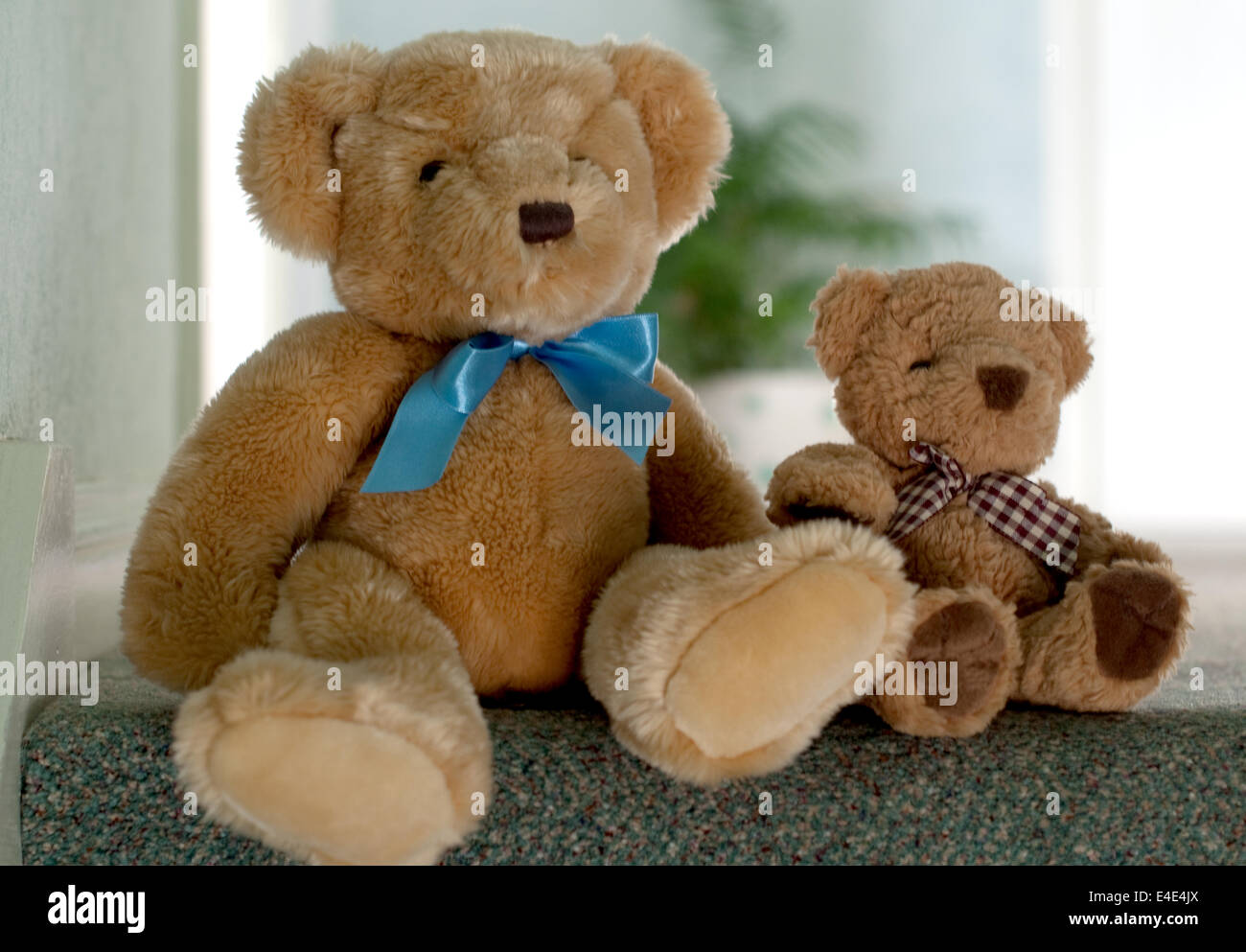 Still life concept image of a childs teddy bear Stock Photo - Alamy