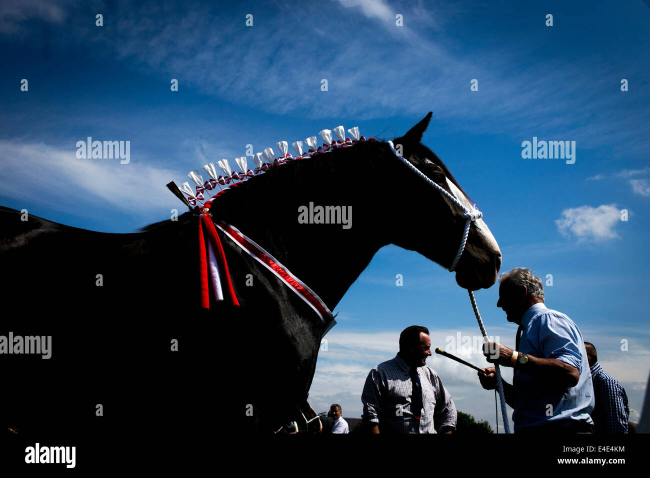 The Great Yorkshire Show 2014 Stock Photo - Alamy