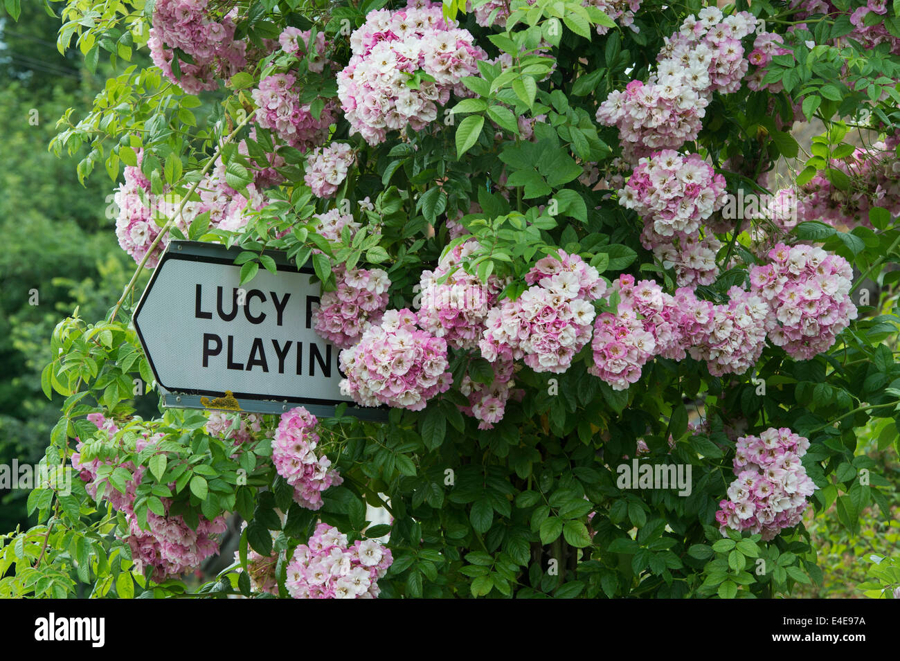 Lucy plackett playing field sign hi-res stock photography and images ...