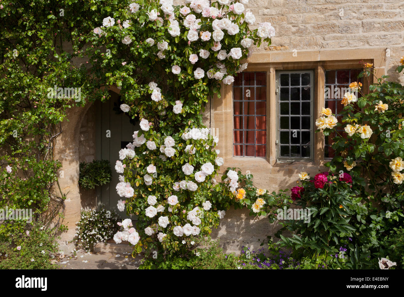 Country cottage roses hi-res stock photography and images - Alamy