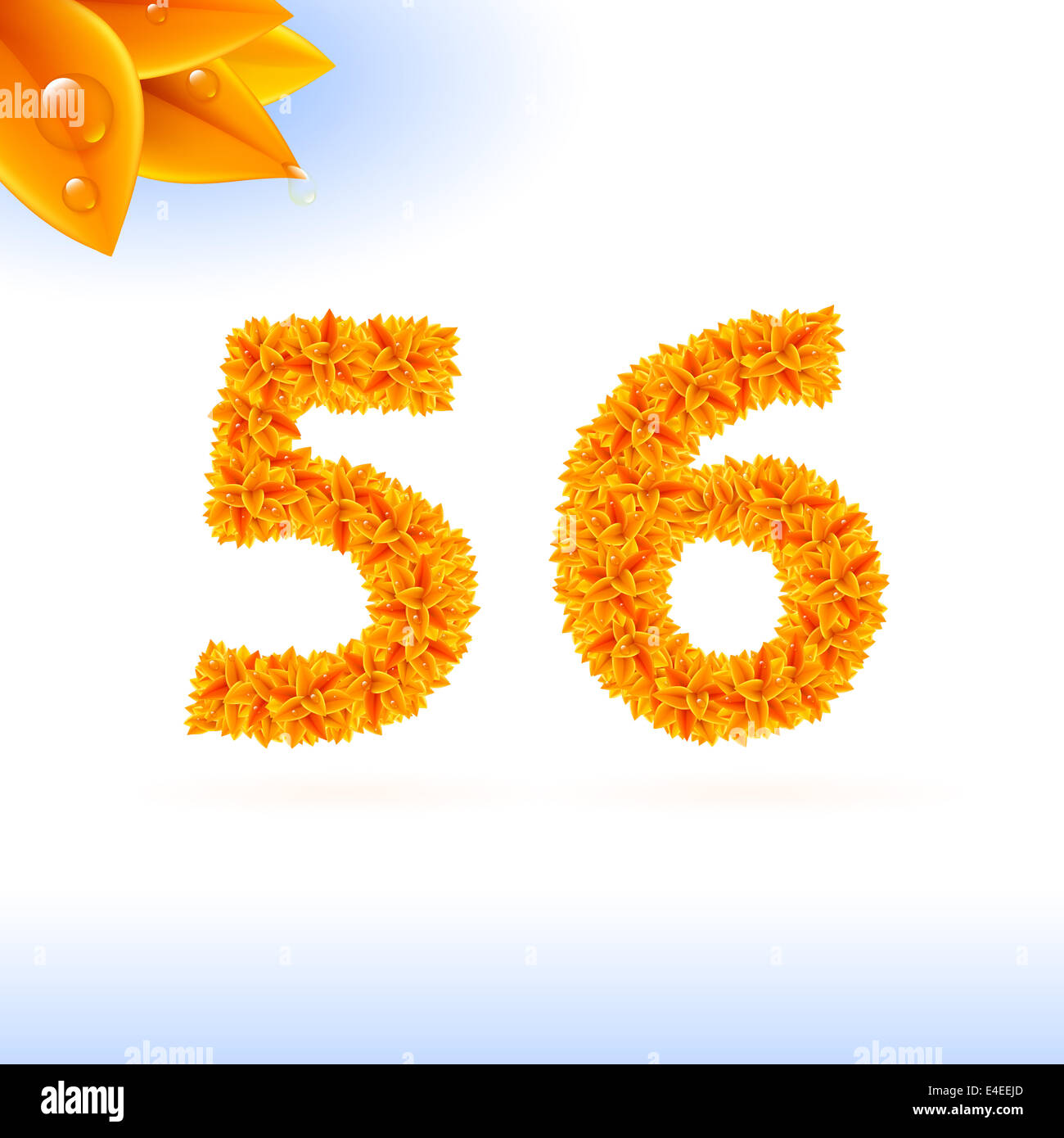 Sans serif font with autumn leaf decoration on white background. 5 and ...