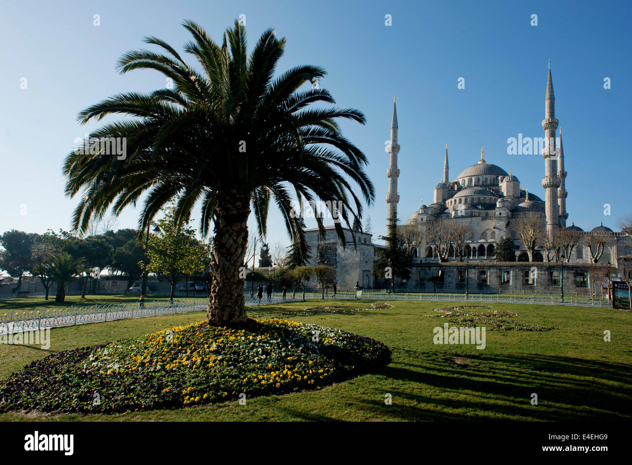 The Blue Mosque in Istanbul, Turkey Stock Photo - Alamy