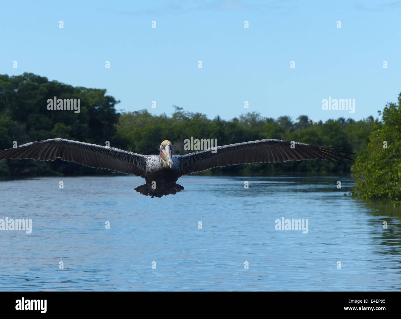 Flying river hi-res stock photography and images - Alamy