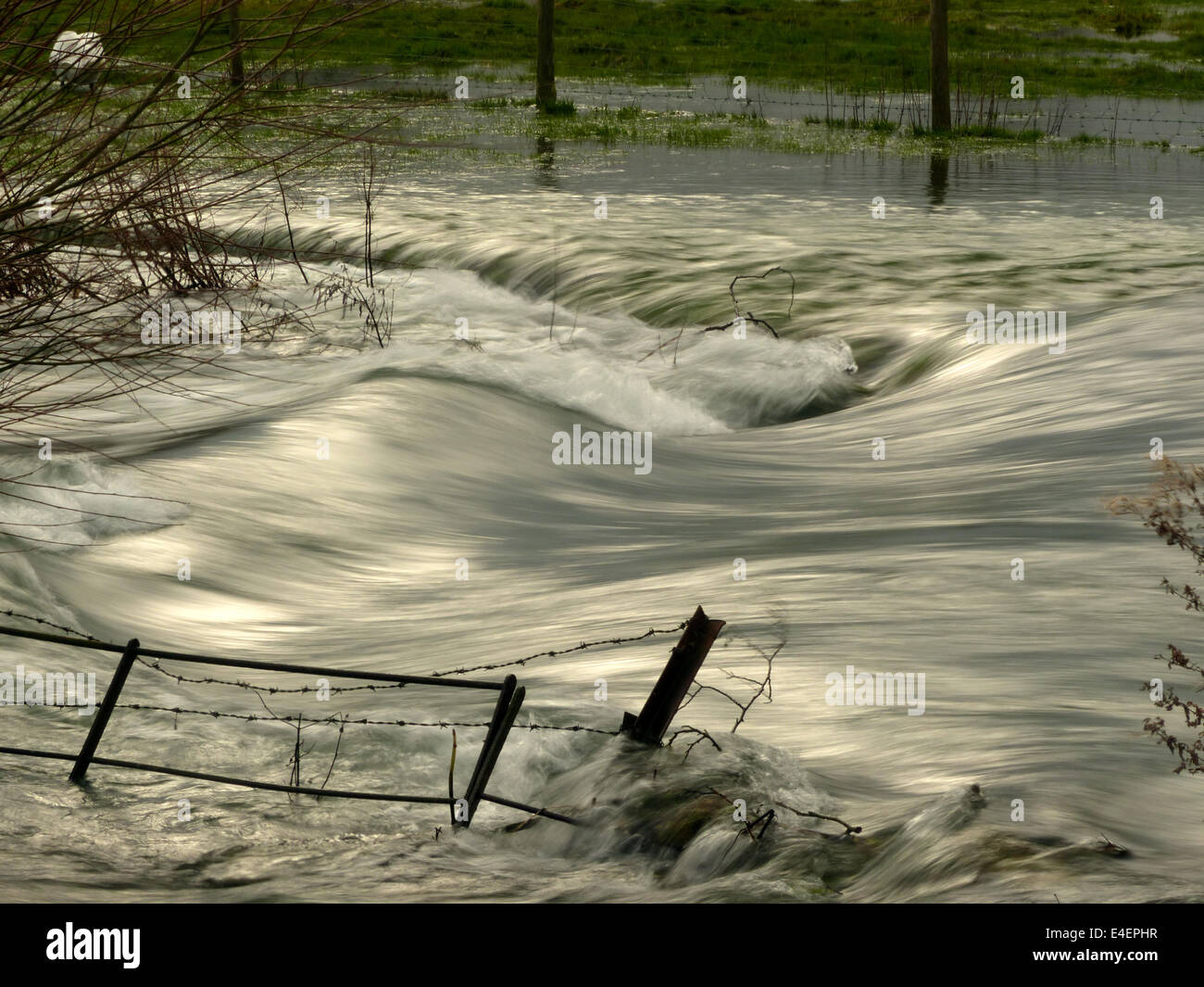 Rushing through field hi-res stock photography and images - Alamy