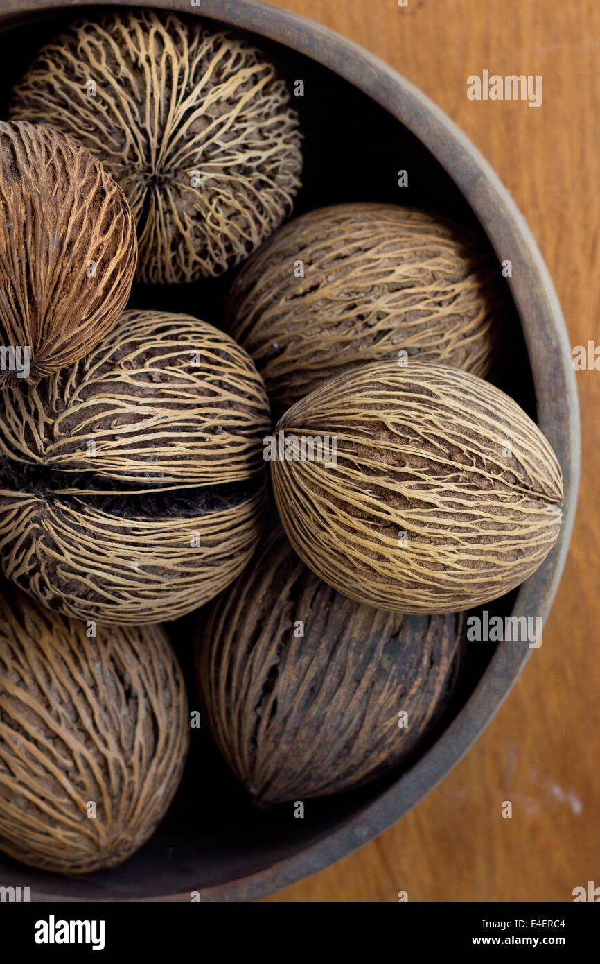 dry coconut home decor Stock Photo - Alamy