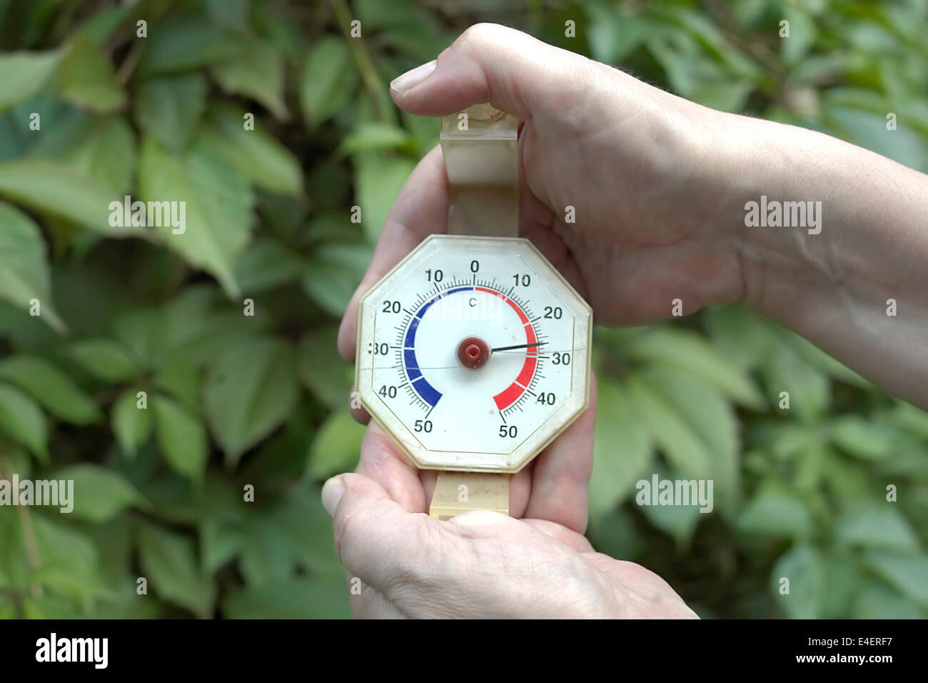 Hand, holding a retro analogue thermometer Stock Photo - Alamy