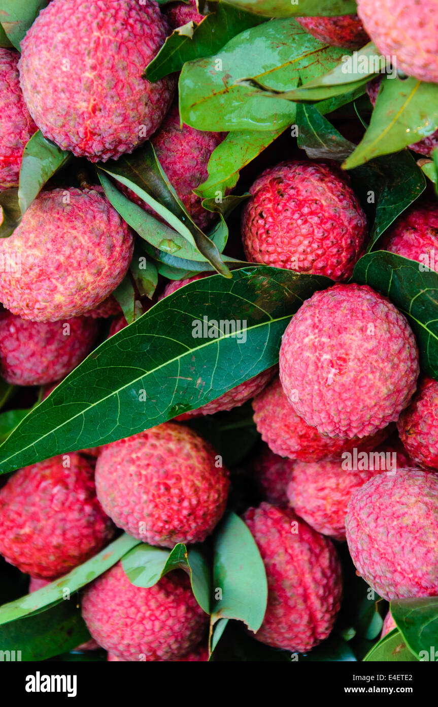 Close-up of red fresh Lychee fruits in Thailand market Stock Photo - Alamy