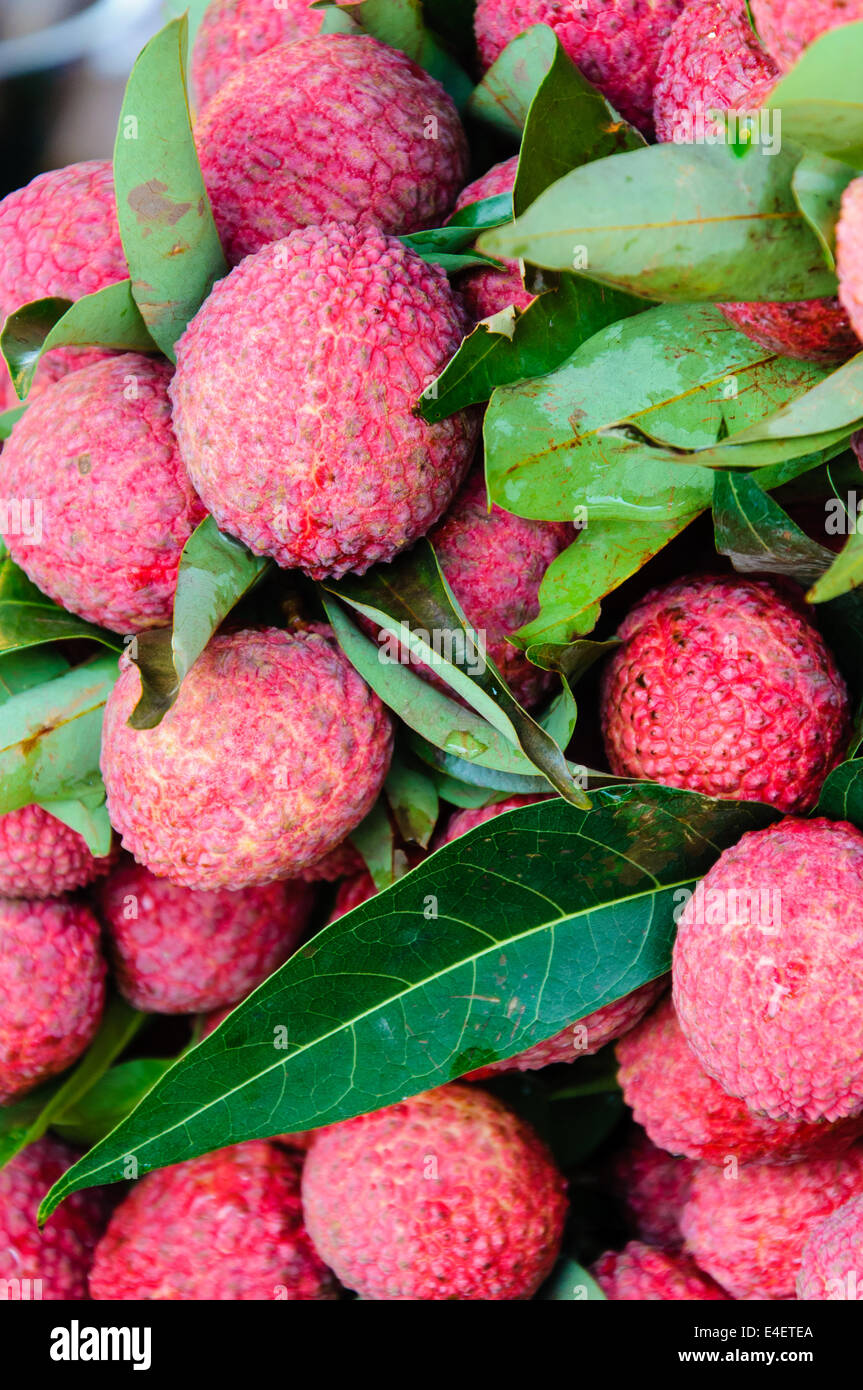 Lichi tree hi-res stock photography and images - Alamy