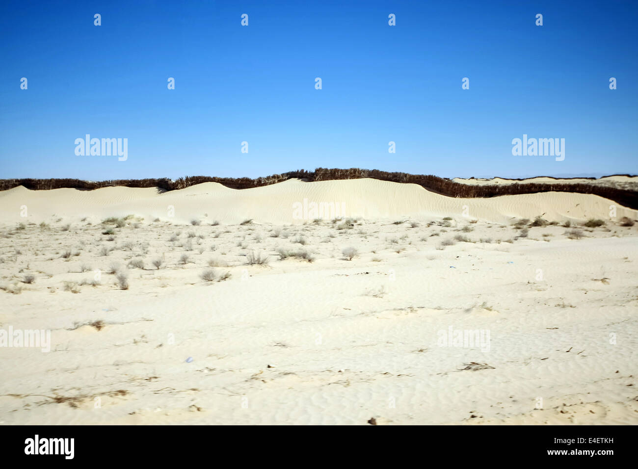 A sand wall to defend against sandstorms in Sahara desert, Tunisia ...